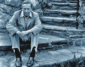 Falconer (John Cheever)