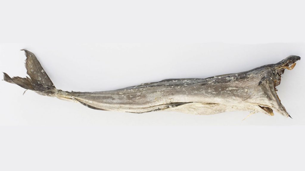 Stoccafisso: etimologia e curiosità relative a questa parola