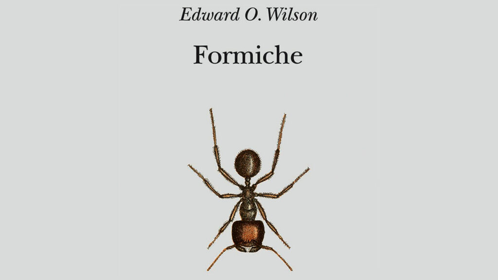 Formiche libro Adelphi